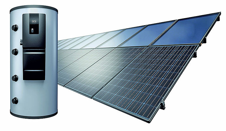 Kioto: Frisch von der Sonne | IKZ