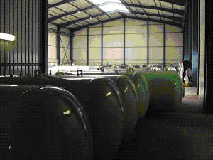 Luhmann für Innovationspreis nominiert | IKZ